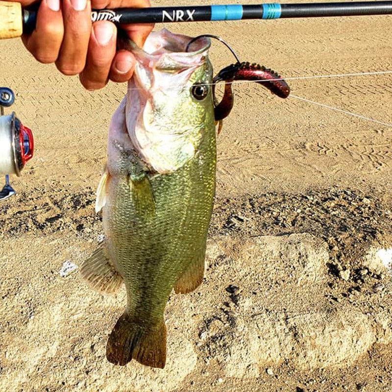 EWG Worm Hooks 30 Pack - Bassdash